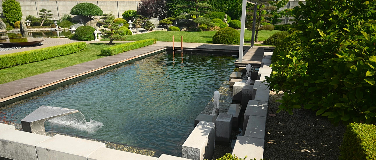 Jazierka Banat | Úvodní strana